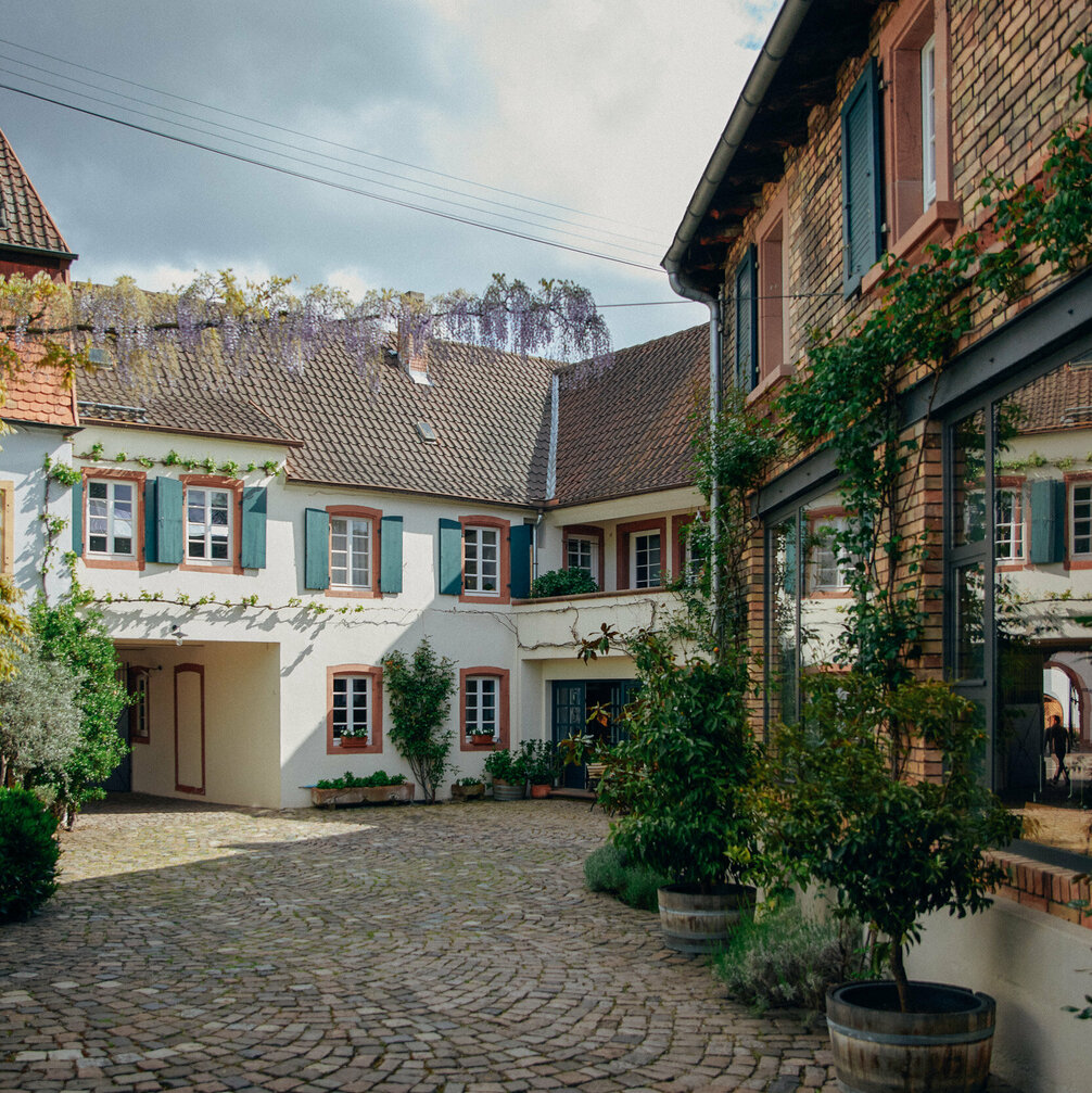 Das Weingut Ökonomierat Rebholz: Oekonomierat Rebholz